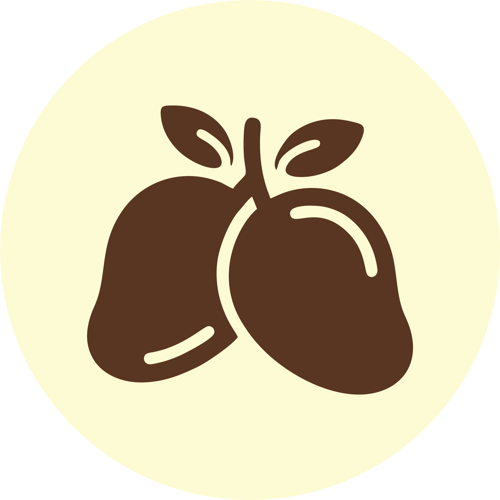 Mango – Time For Organics